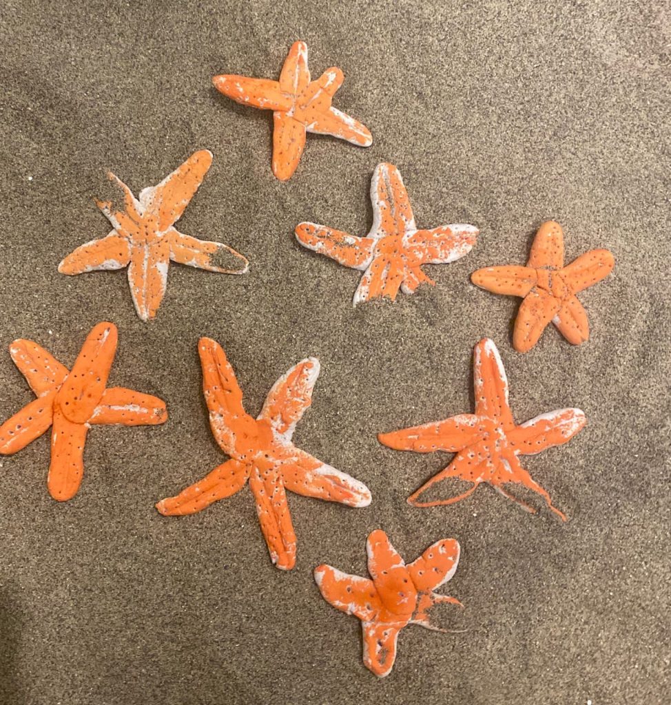 Ocean Week Activities for Children - Play to Learn